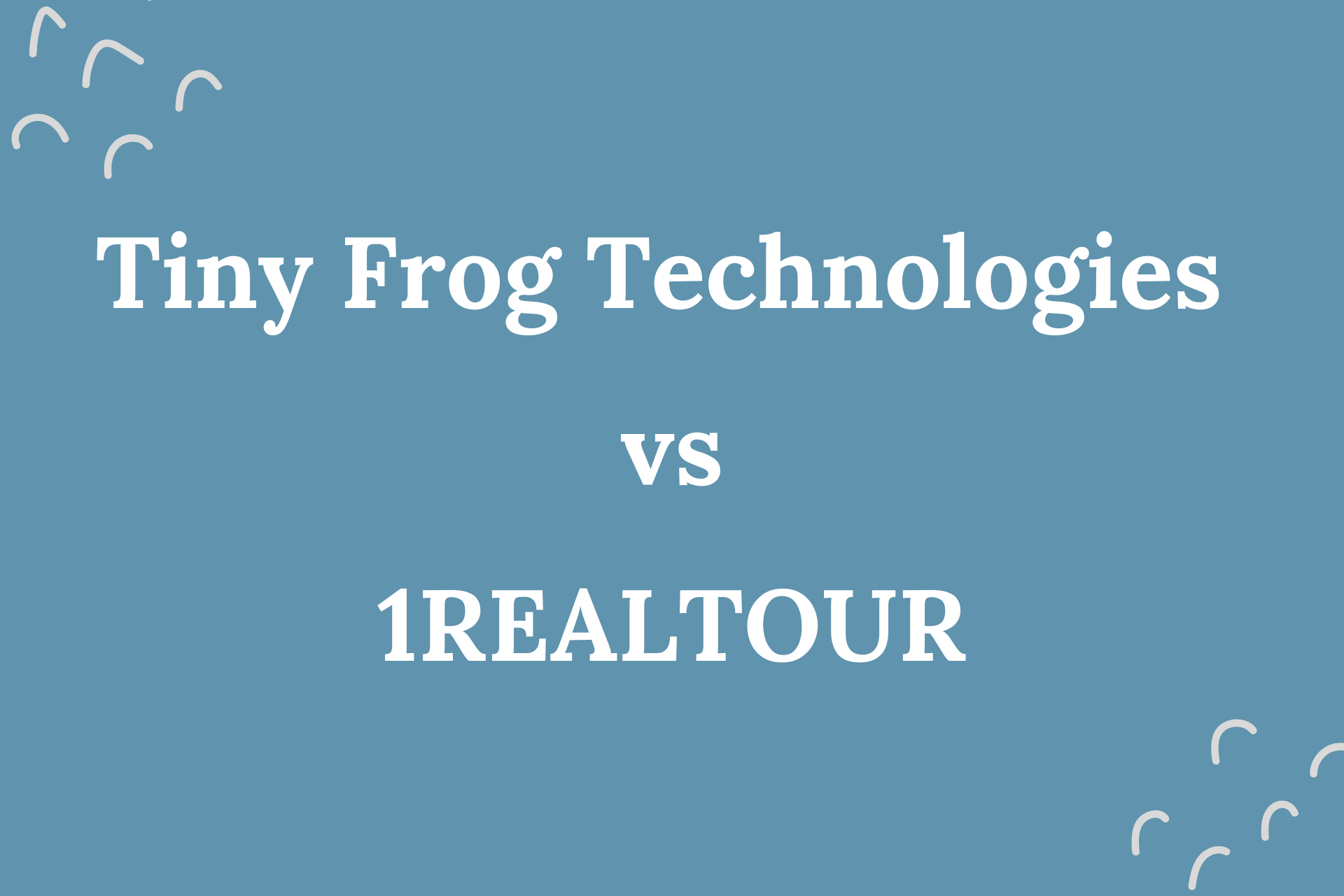Tiny Frog Technologies Vs 1REALTOUR: Which Agency Is Better?